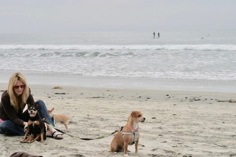 Pet-Friendly Neighborhoods in San Diego
